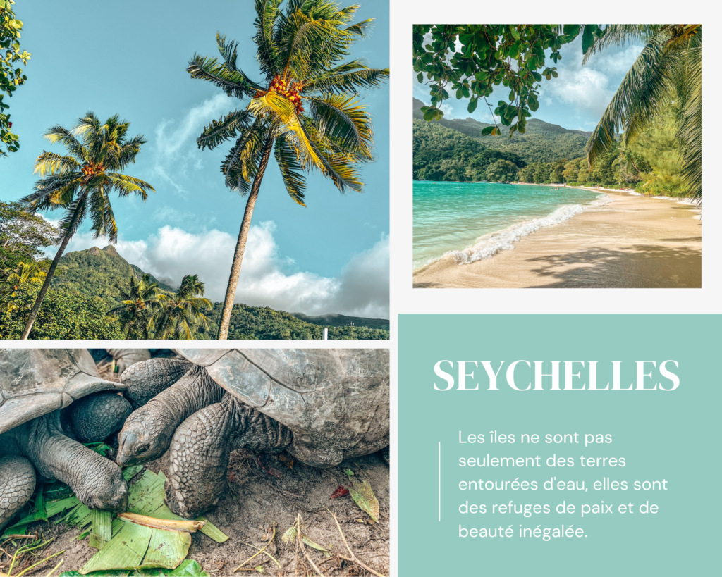 Voyage aux Seychelles : Découverte d’un Paradis Terrestre – Lady heavenly
